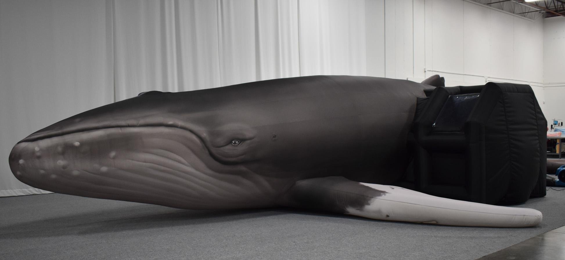 Speakers & Performers - The Maine Ocean Festival