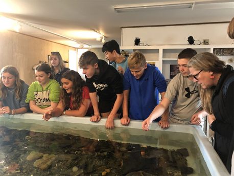 The Oceanarium and Education Center - The Oceanarium and Education Center