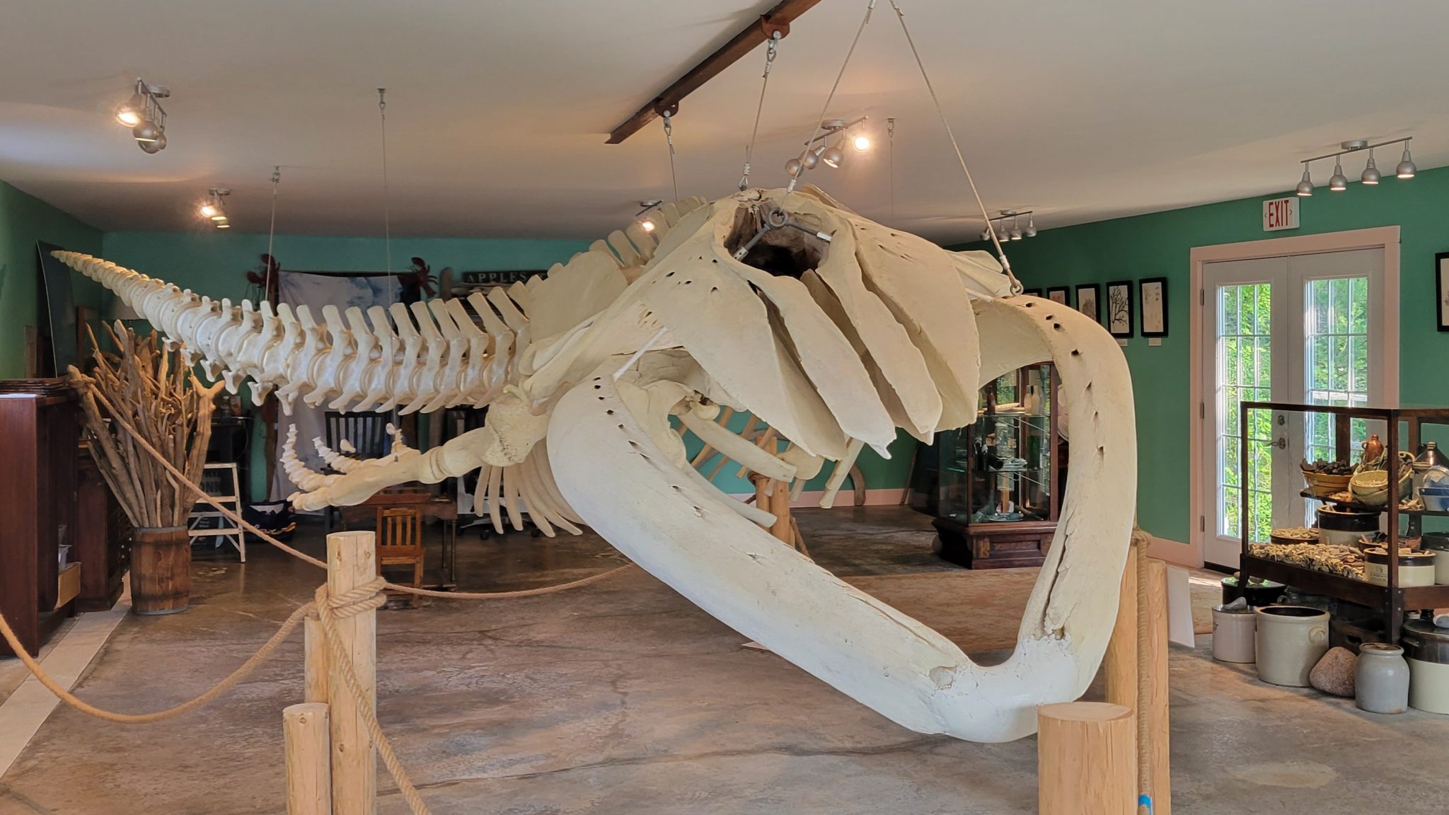 The Oceanarium and Education Center - The Oceanarium and Education Center